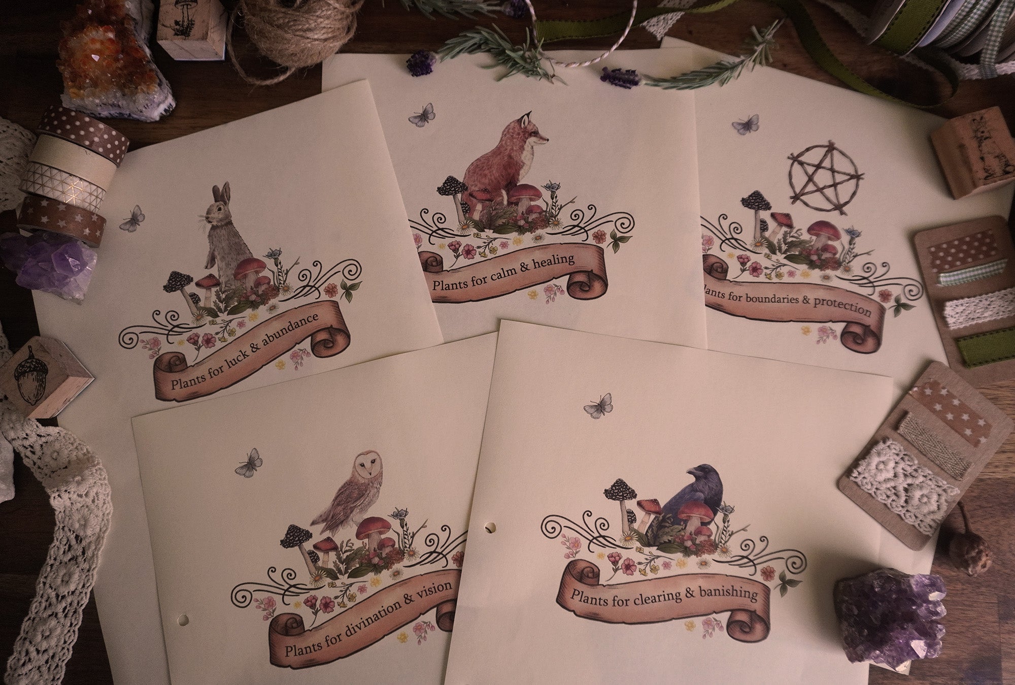 Fox – Spellbound Society